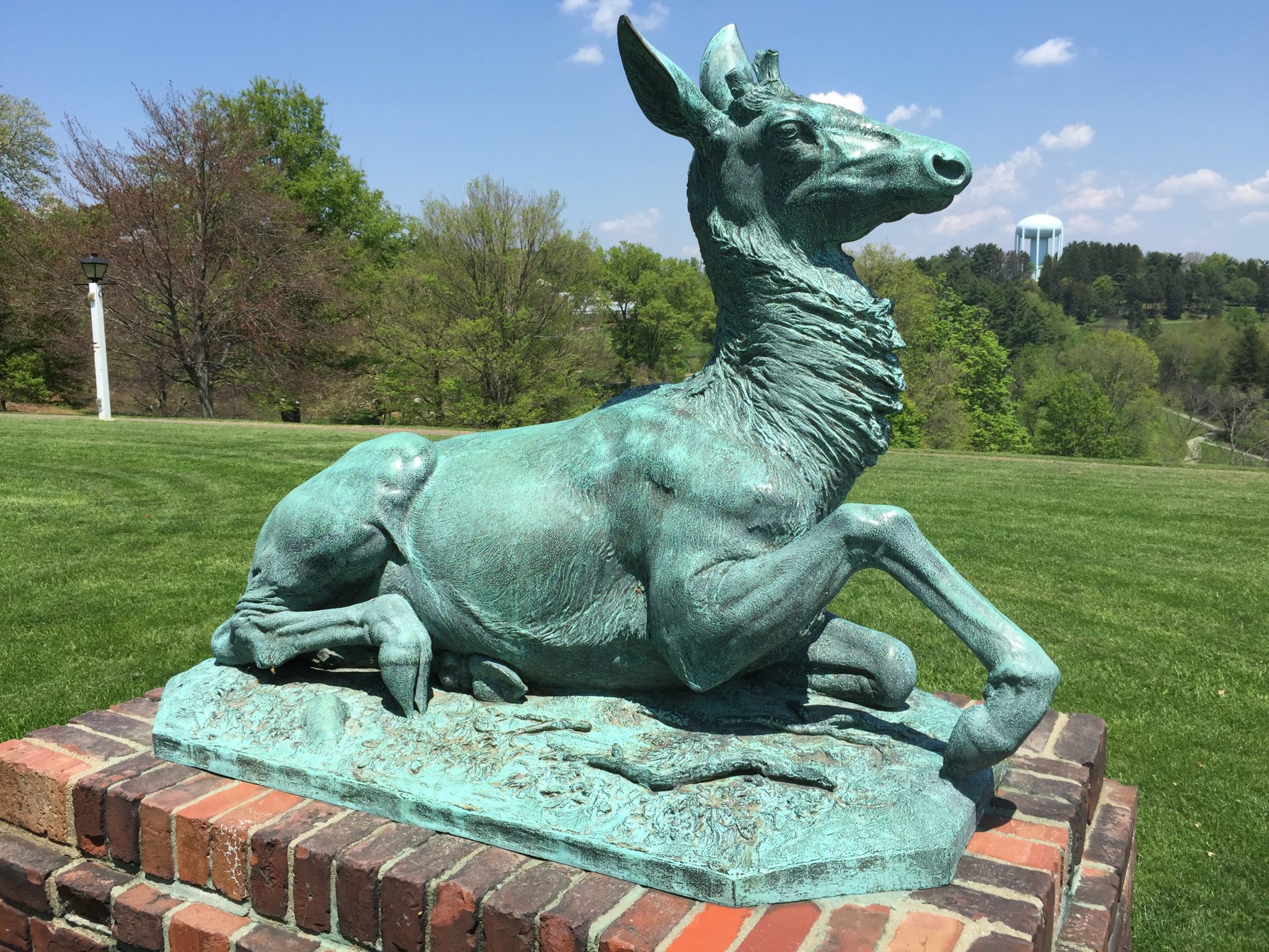 "The Stag," the Myth, the Legend - Weelunk