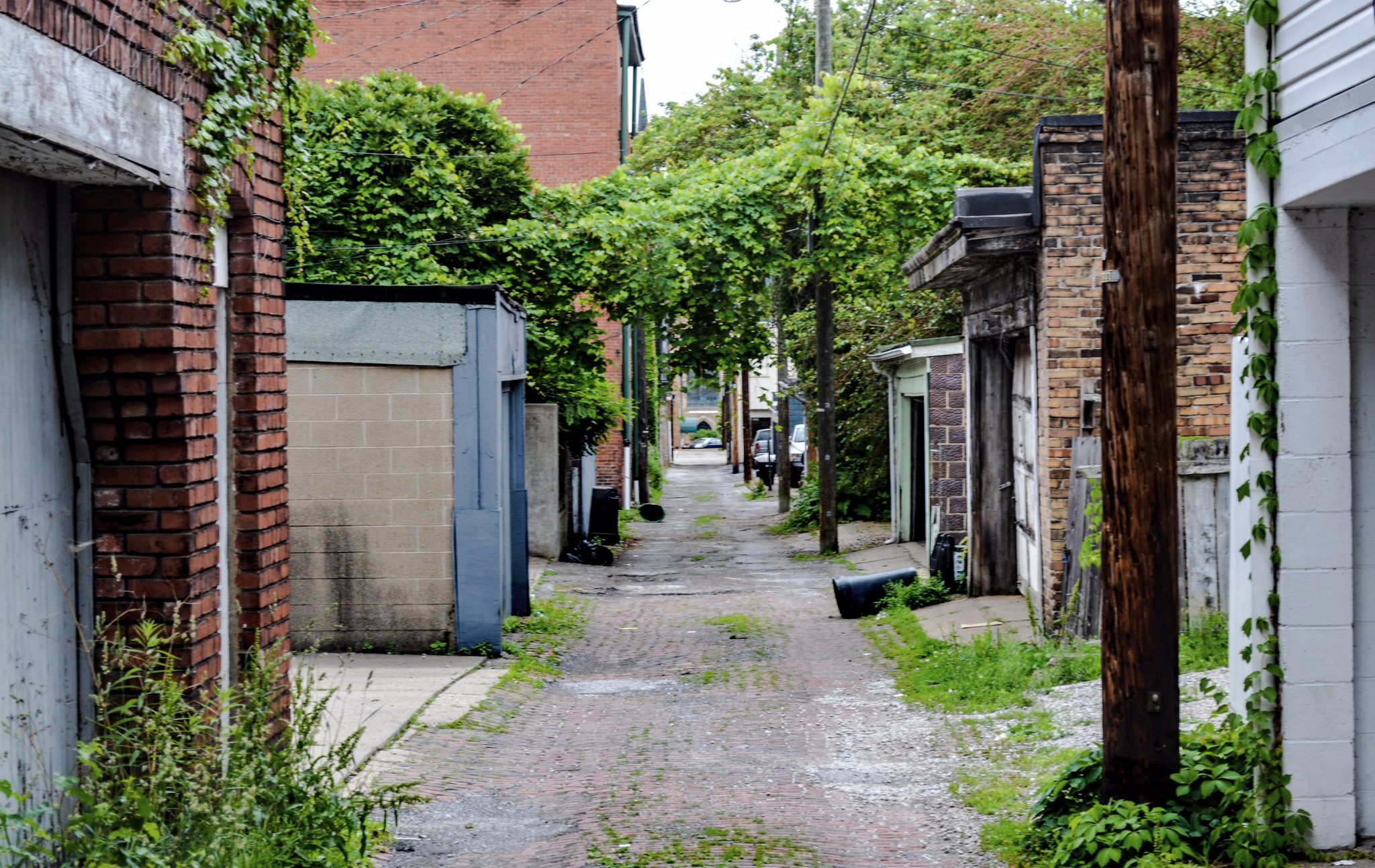 The Wheeling Mob: Part 7 - Weelunk