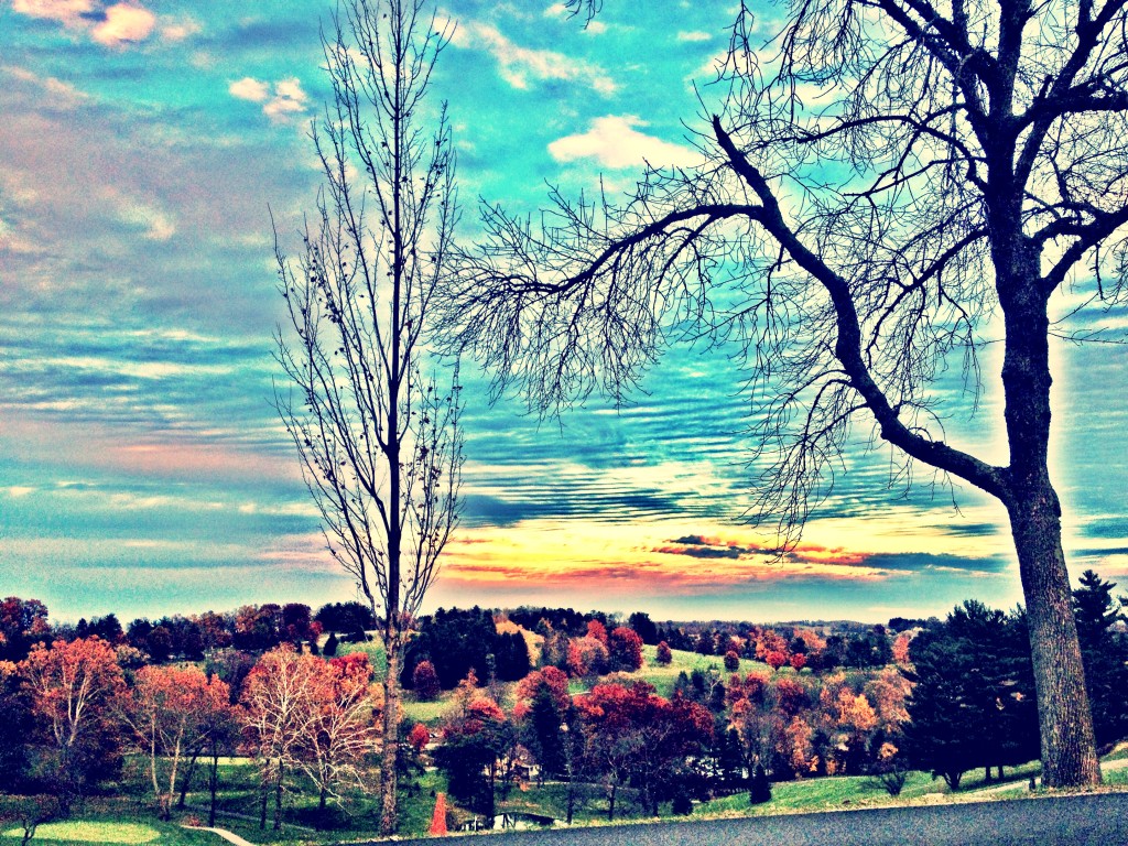 A Mid November Morning - Weelunk