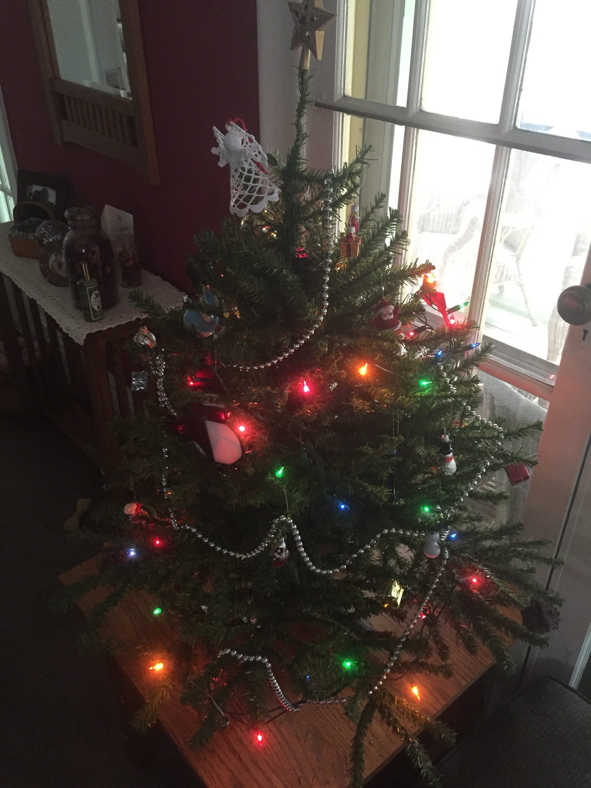 The Sanity Tree - Weelunk