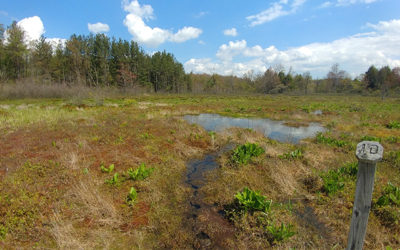 ONE TANK TRIPS: Unusual Hiking at Piatt Park - Weelunk