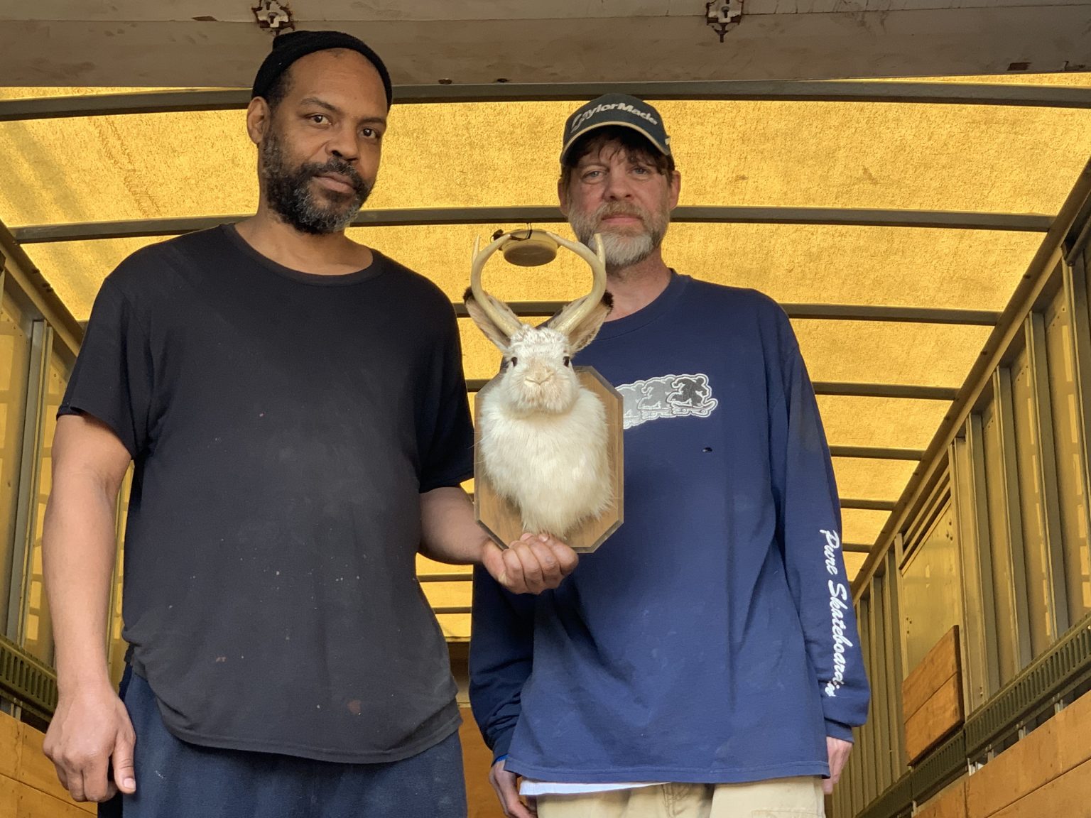 Alpha Moose on the Move - Weelunk