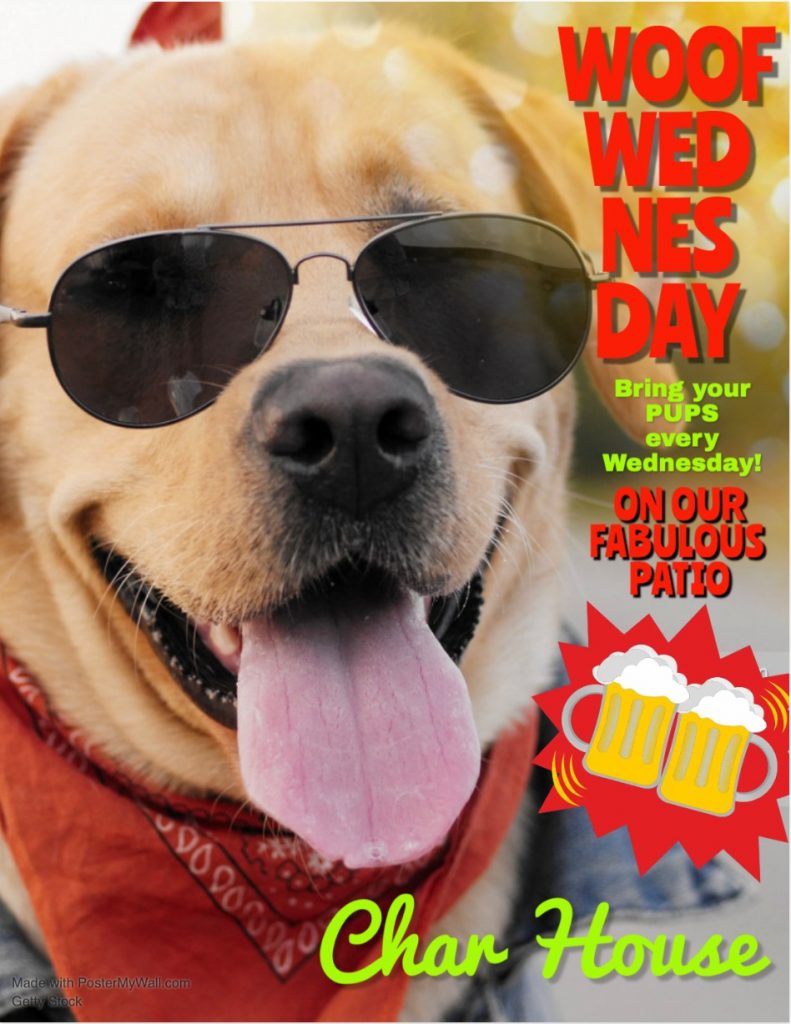 10 Ways to Celebrate National Dog Day in Wheeling - Weelunk
