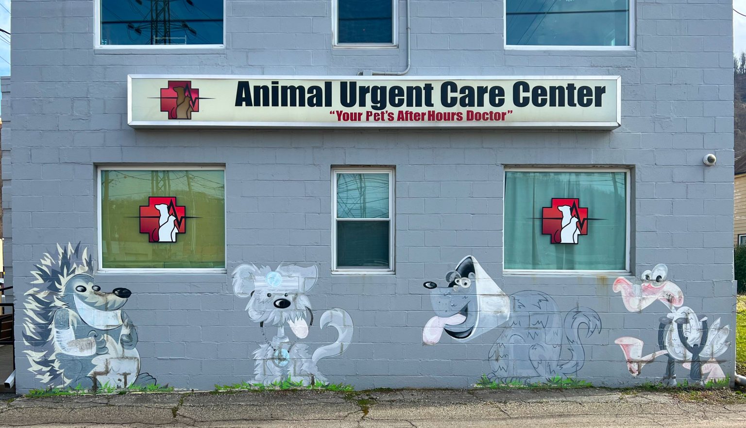 10 Ways to Celebrate National Dog Day in Wheeling - Weelunk