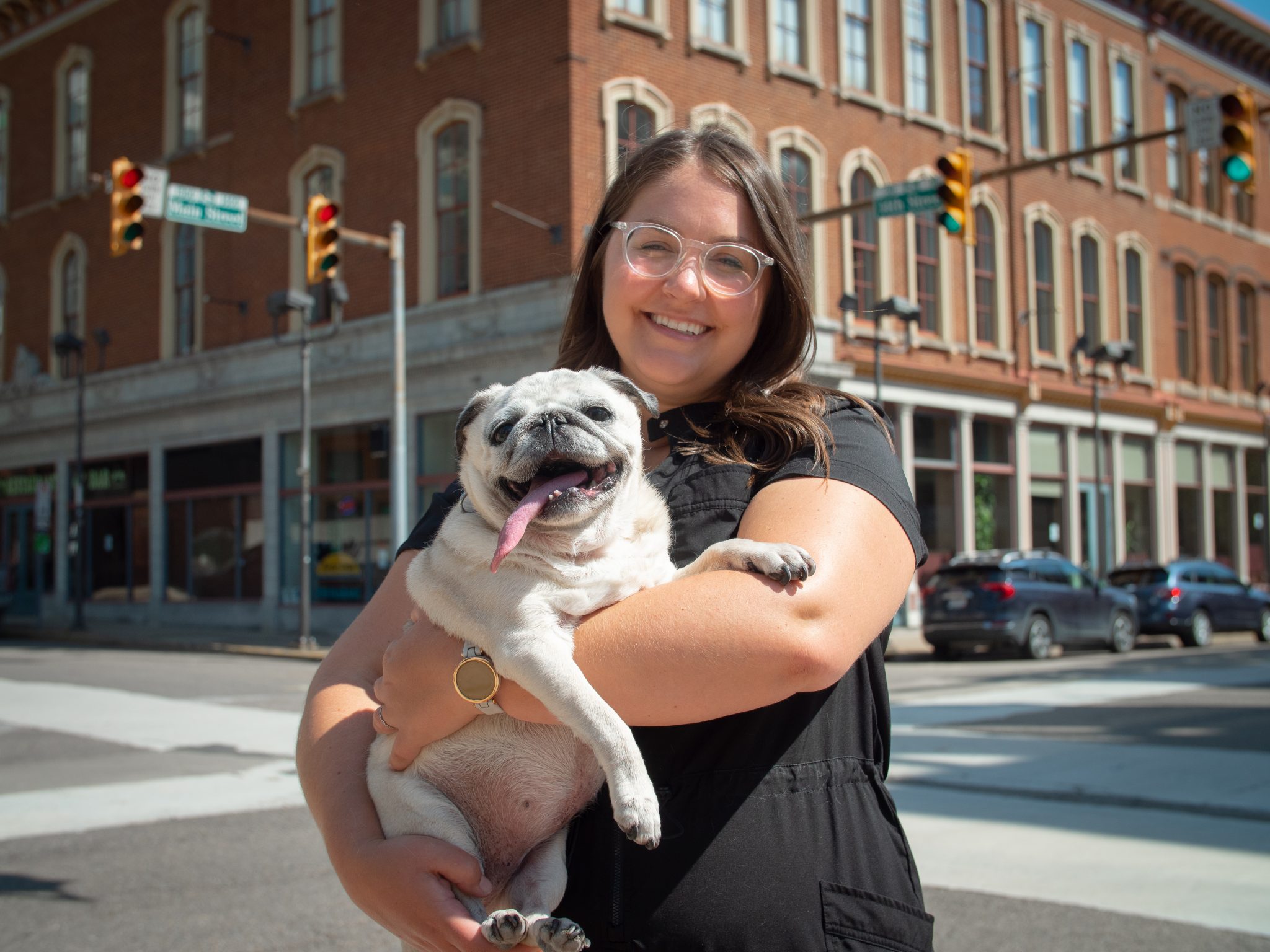 10 Ways to Celebrate National Dog Day in Wheeling - Weelunk