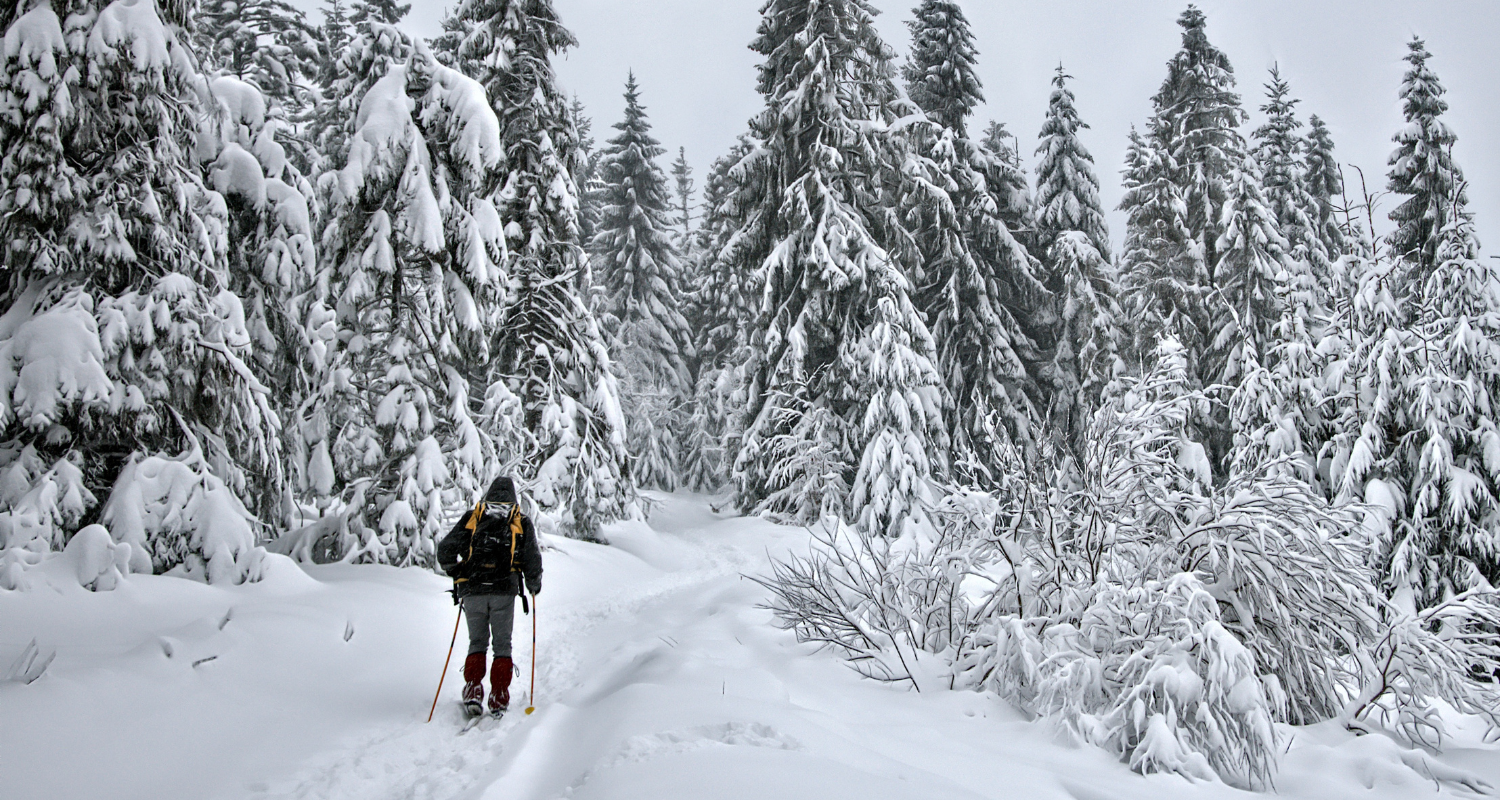 Love, Laughter, and Snowy Adventures: Dive into 'Stand Still & Chill ...