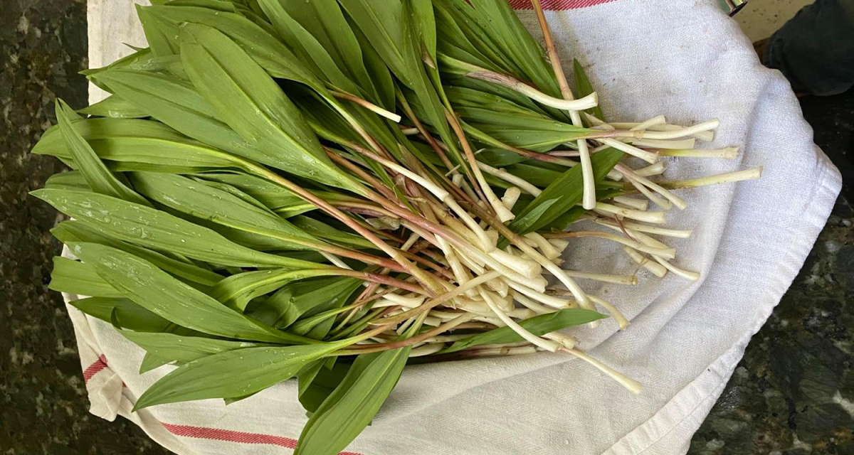 Celebrating West Virginia's Culinary Treasures – Pepperoni Rolls and ...