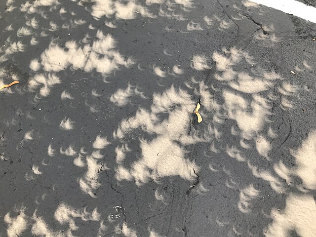A Guide to the Almost Total Eclipse of Wheeling - Weelunk