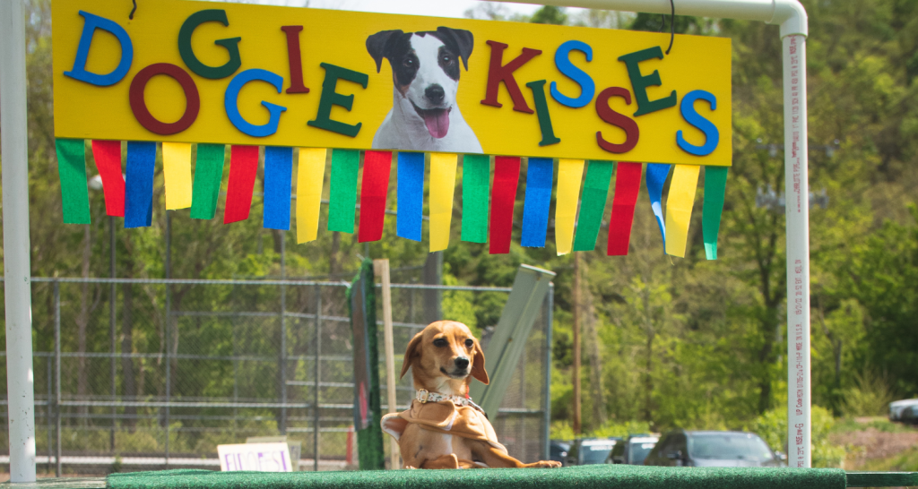 Celebrate Your Dog in Wheeling - Weelunk