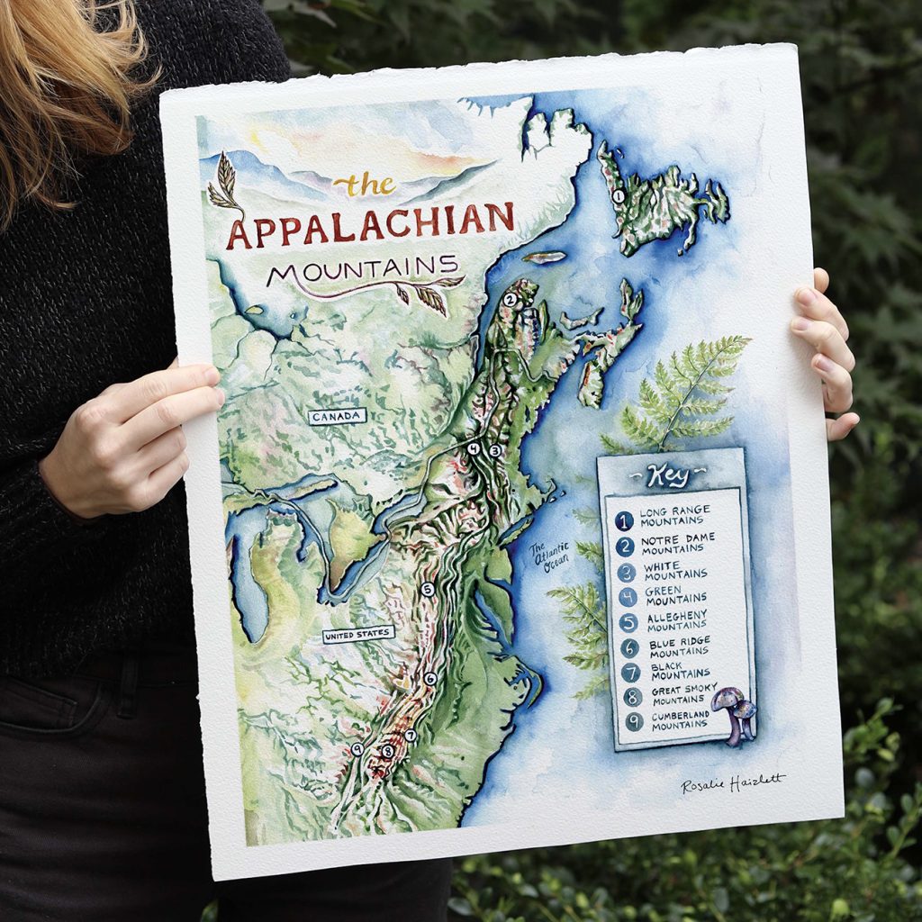 Tiny Worlds - Illustrator Rosalie Haizlett Celebrates Appalachian Flora ...