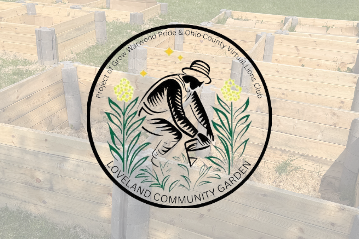 The Era of the Ironmen, Wheeling’s Semi-Pro Football Team - Weelunk