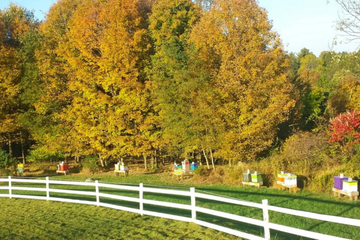 Civics Unplugged Fellowship Accepting Applications - Weelunk